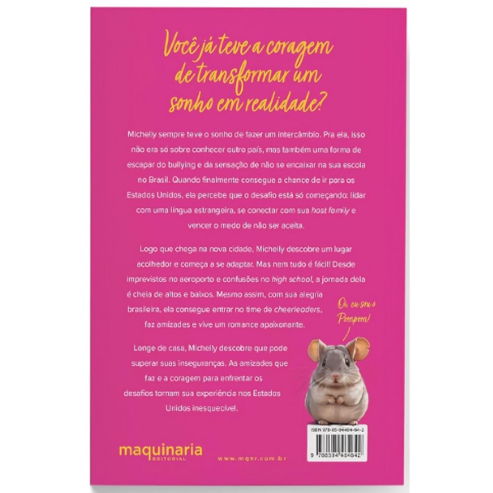 Um Intercâmbio Quase Perfeito - Livrarias Curitiba